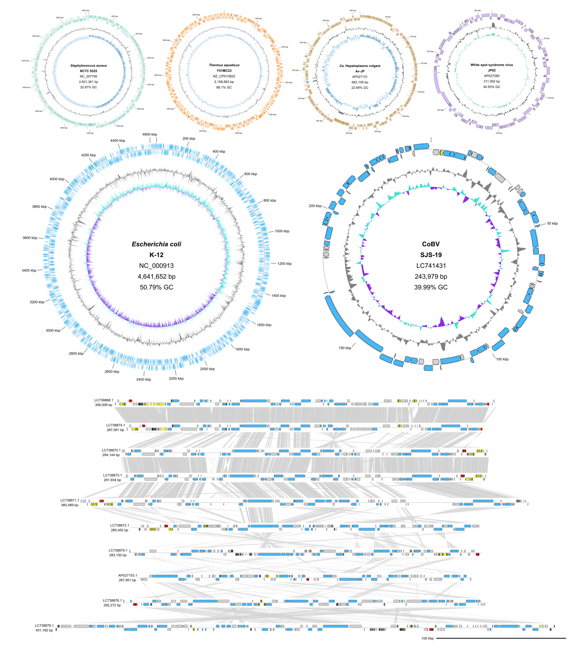 awesome-genome-visualization