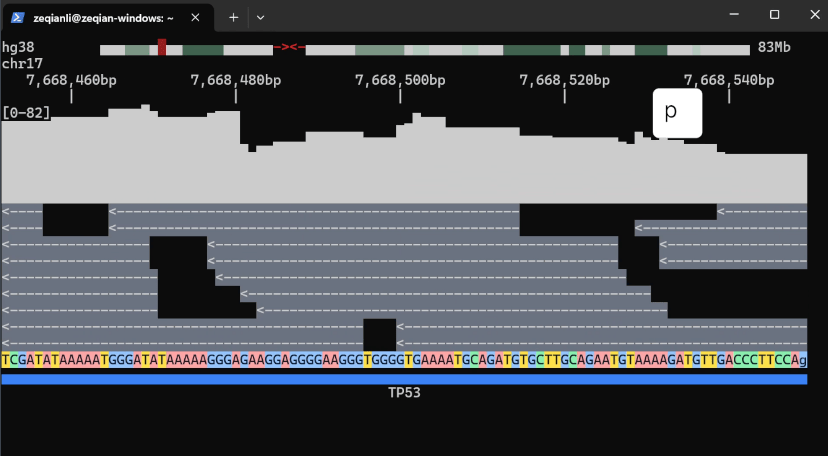 awesome-genome-visualization